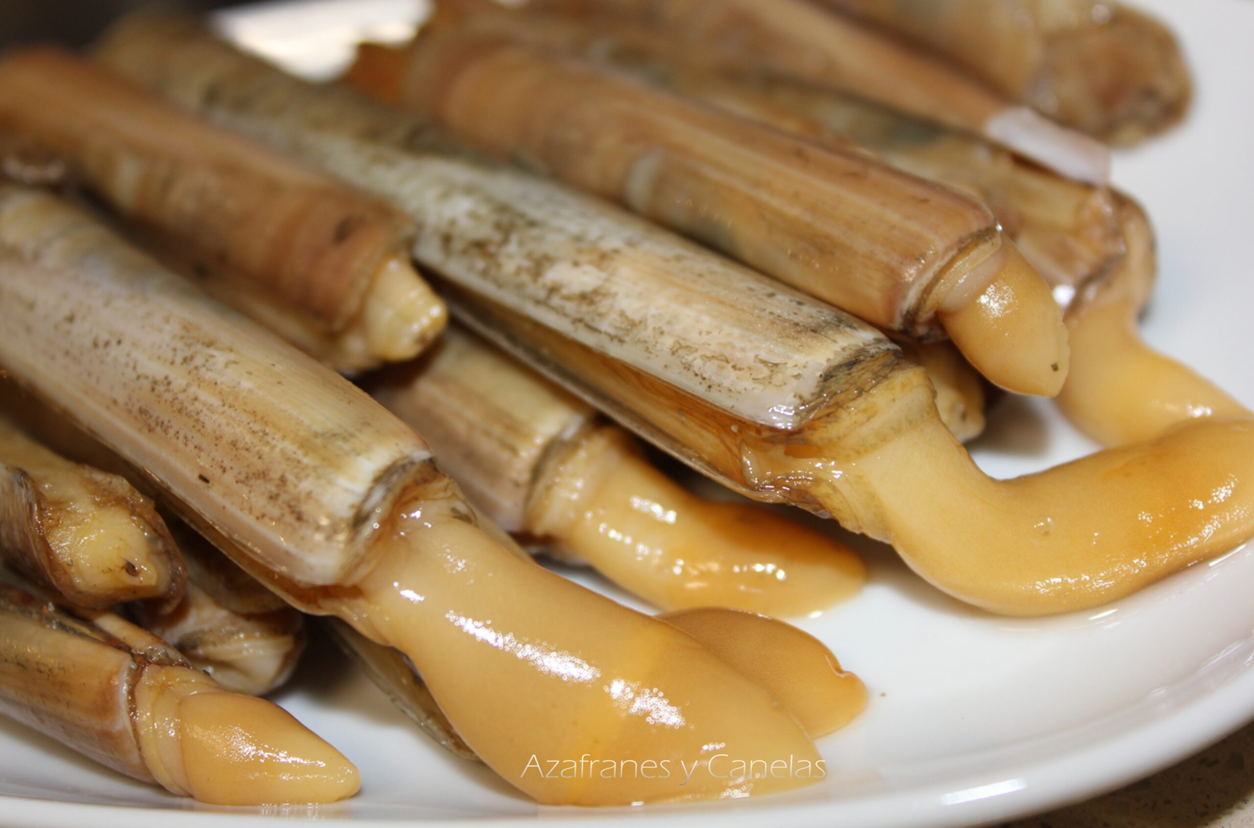 Longuerones o navajas. Curiosidades y usos en la cocina - Azafranes y ...