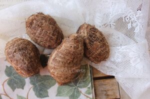 ¿Qué es el Ocumo, también conocido como Malanga? - Azafranes y Canelas