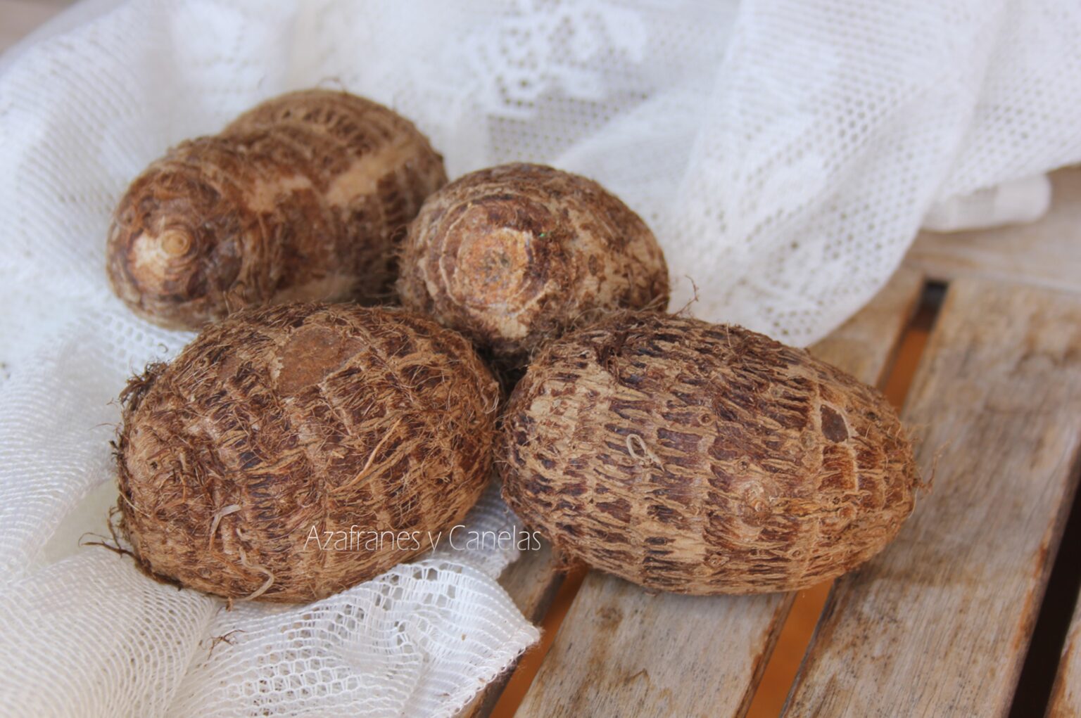 ¿Qué es el Ocumo, también conocido como Malanga? - Azafranes y Canelas