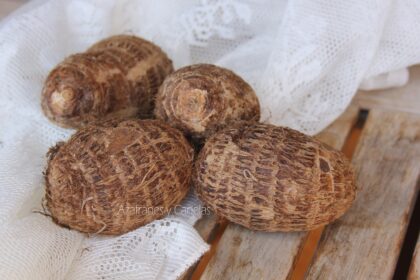 ¿Qué es el Ocumo, también conocido como Malanga? - Azafranes y Canelas