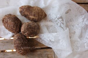 ¿Qué es el Ocumo, también conocido como Malanga? - Azafranes y Canelas